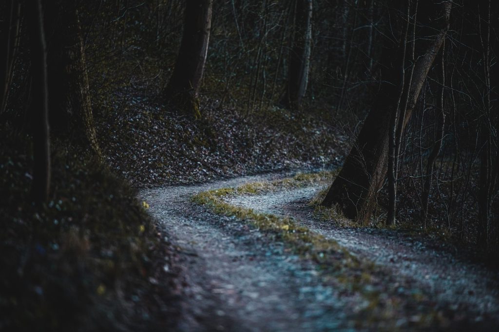 MZe rozdělí 3,5 miliardy Kč na lesnictví nebo snižování emisí v ...